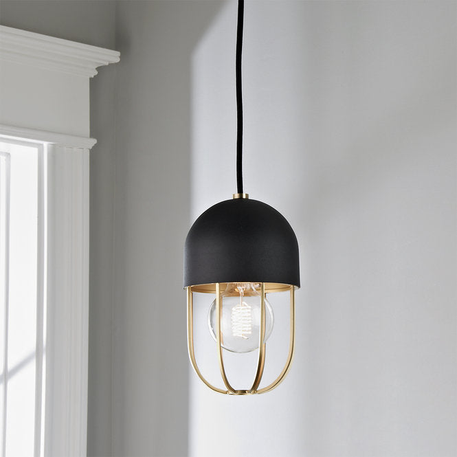 Eclectic Capsule Cage Pendant Lights